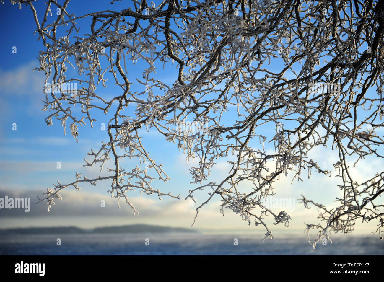 Clear disorder hi-res stock photography and images - Alamy