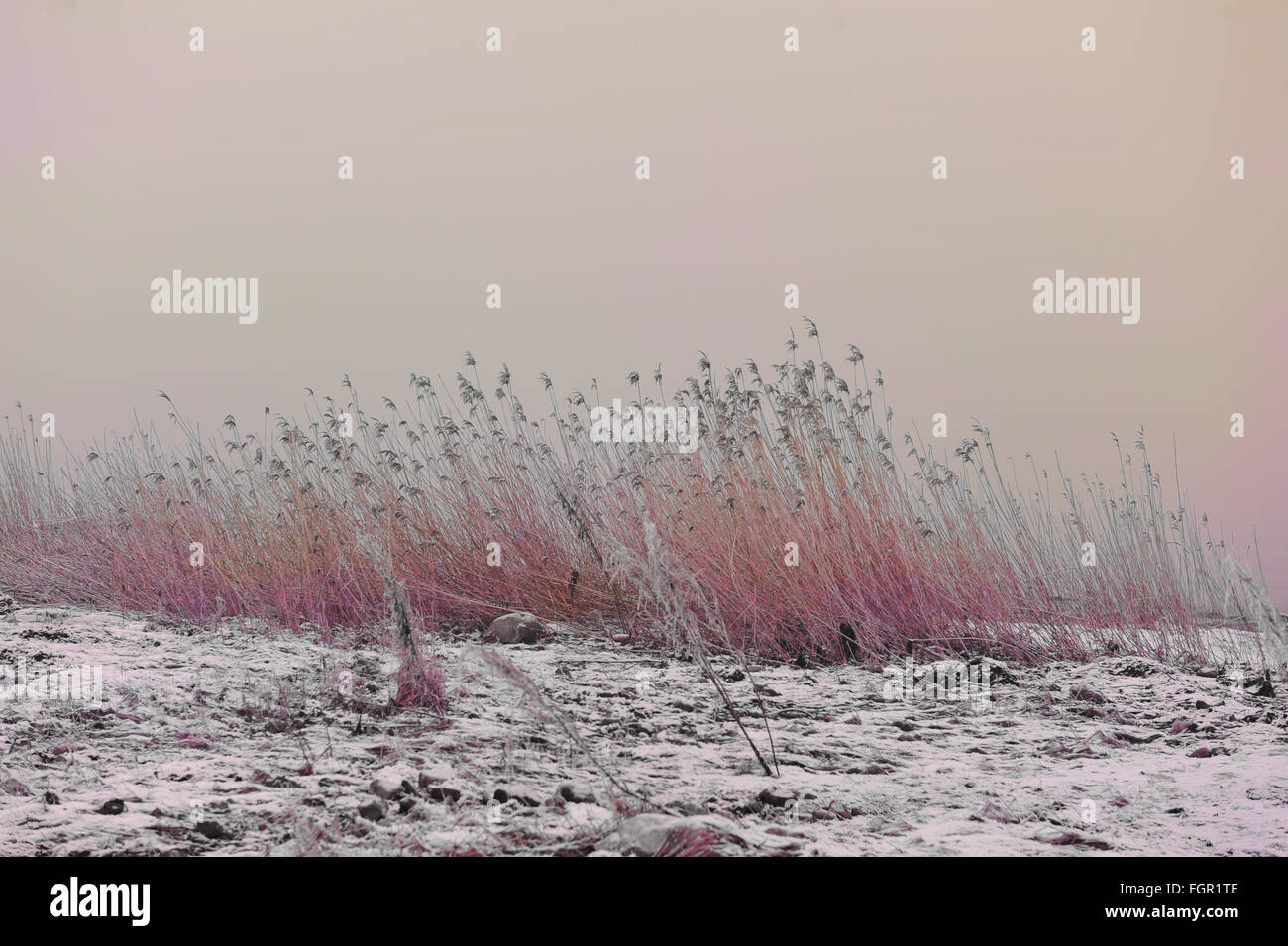 Soothing seascape hi-res stock photography and images - Alamy