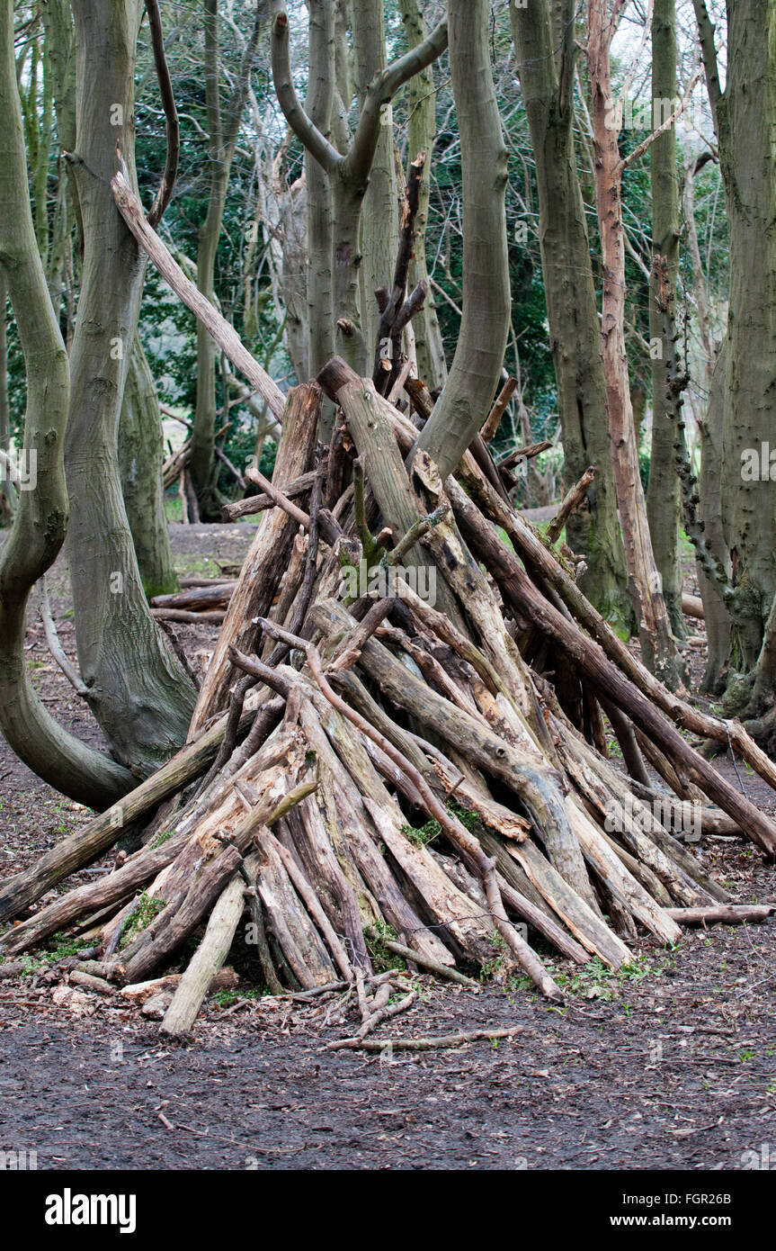 Den building forest hi-res stock photography and images - Alamy