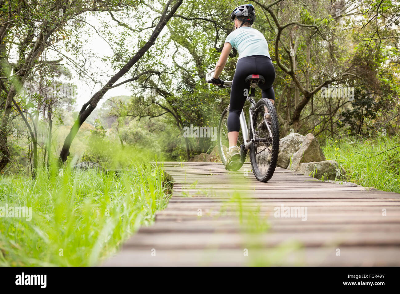 Rear view of a fit woman cycling her bike Stock Photo - Alamy