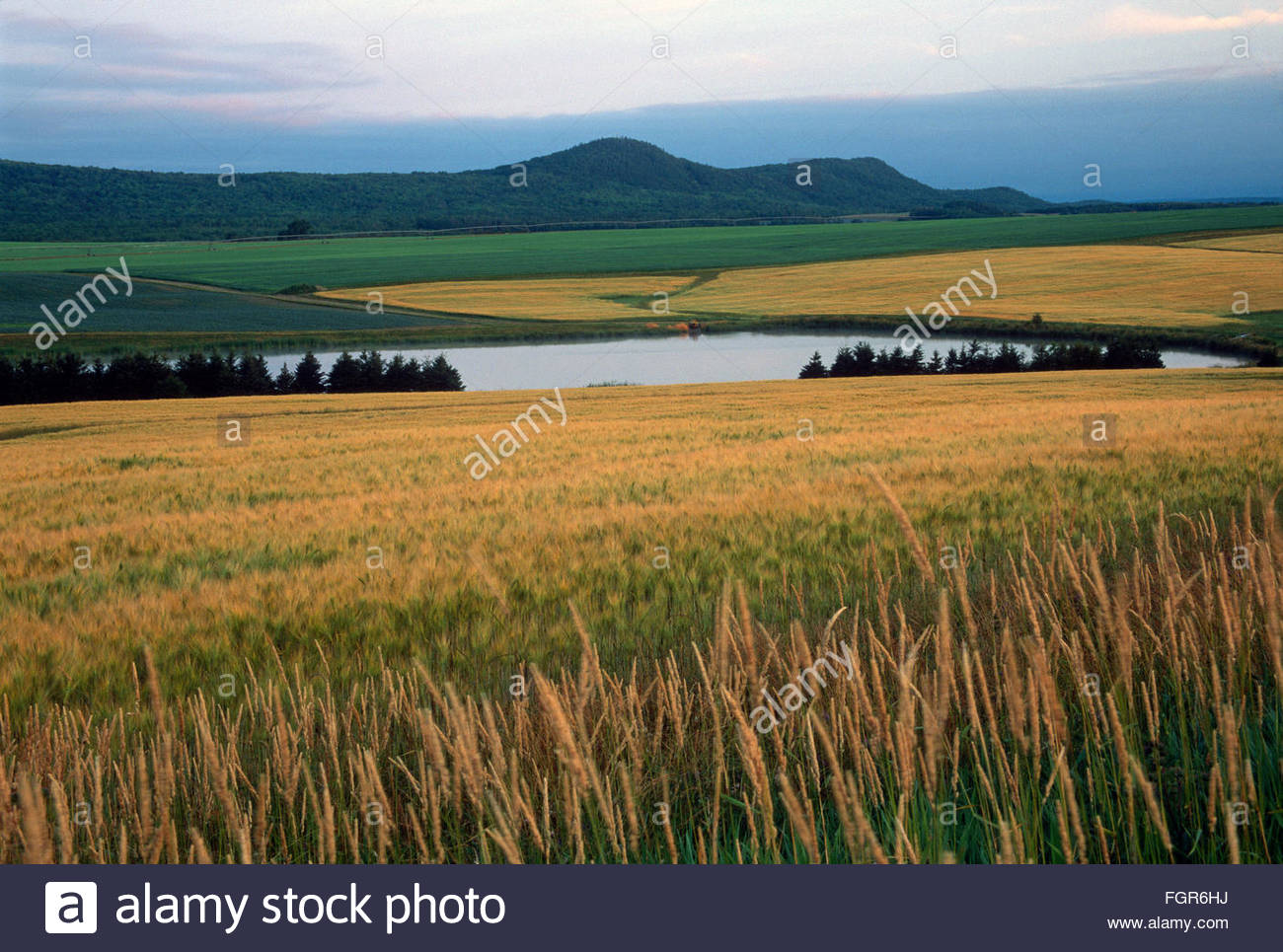Presque Isle County High Resolution Stock Photography and Images - Alamy