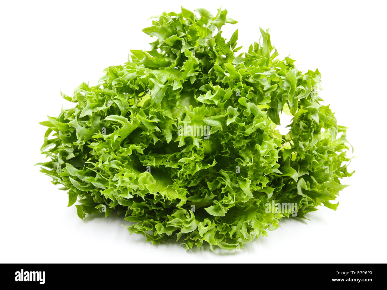 Frillice Iceberg isolated on white background Stock Photo - Alamy