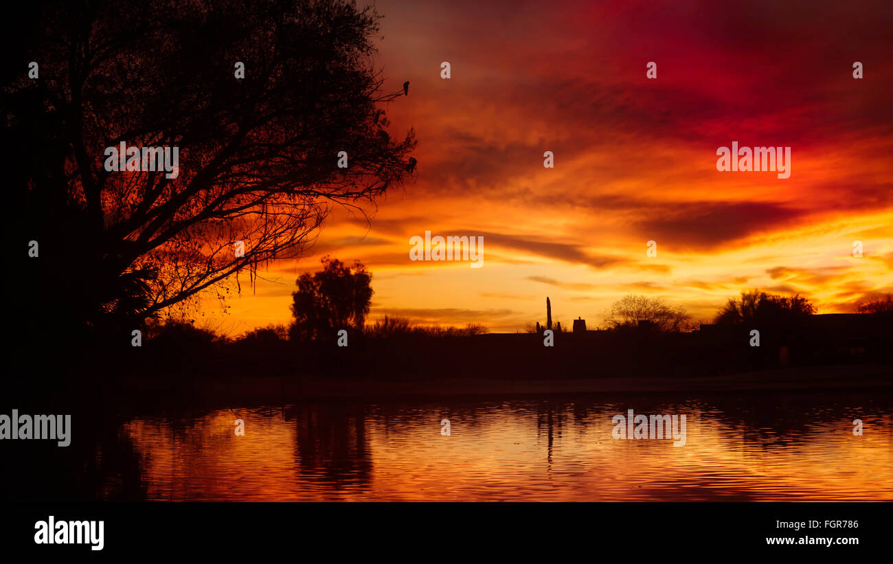 Golf course and lake hi-res stock photography and images - Alamy
