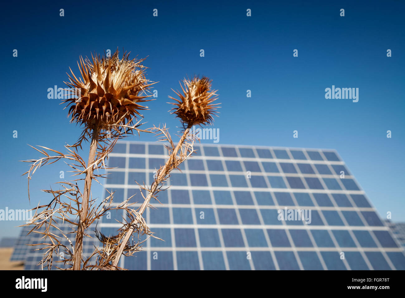 Modern sun energy farm solar panels, for eco and nature renewable ...