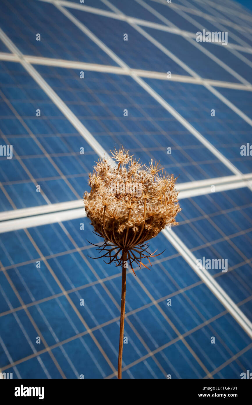 Modern sun energy farm solar panels, for eco and nature renewable ...