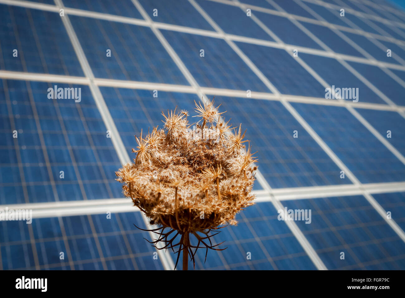 Modern sun energy farm solar panels, for eco and nature renewable ...