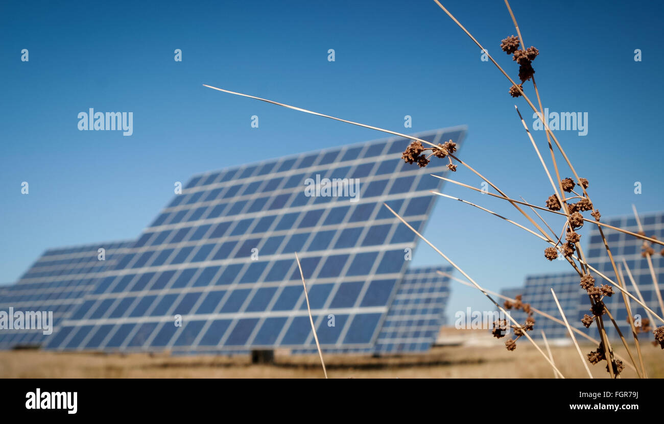 Modern sun energy farm solar panels, for eco and nature renewable ...