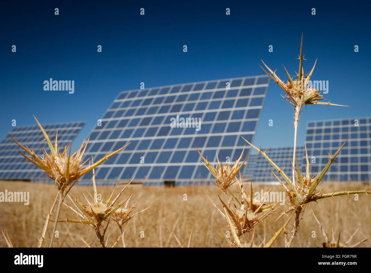 Modern sun energy farm solar panels, for eco and nature renewable ...
