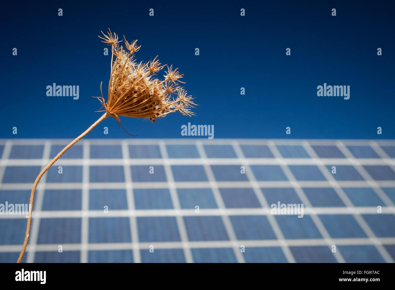 Modern sun energy farm solar panels, for eco and nature renewable ...