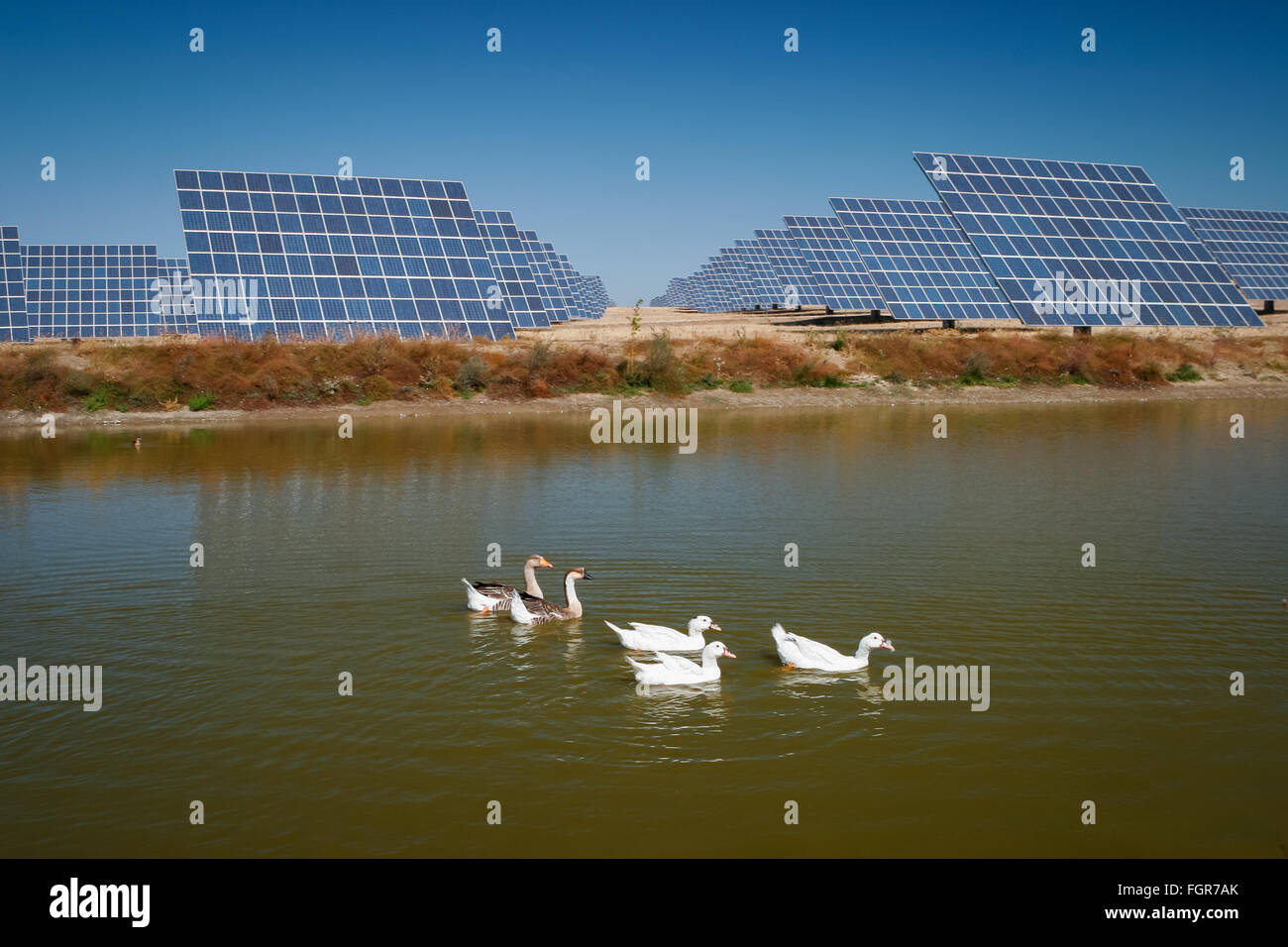 Modern sun energy farm solar panels, for eco and nature renewable ...