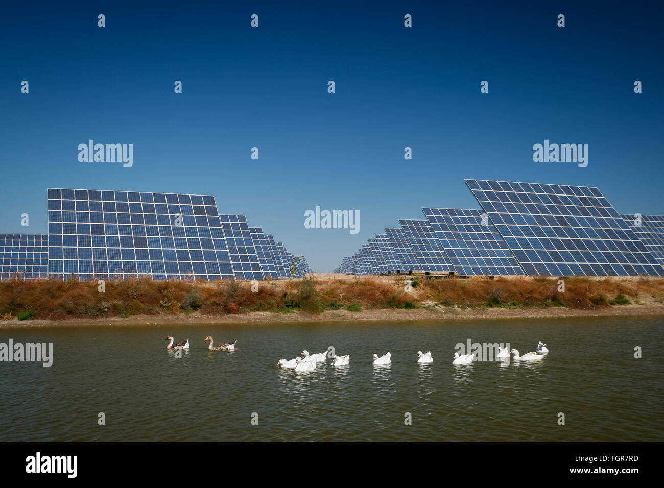 Modern sun energy farm solar panels, for eco and nature renewable ...