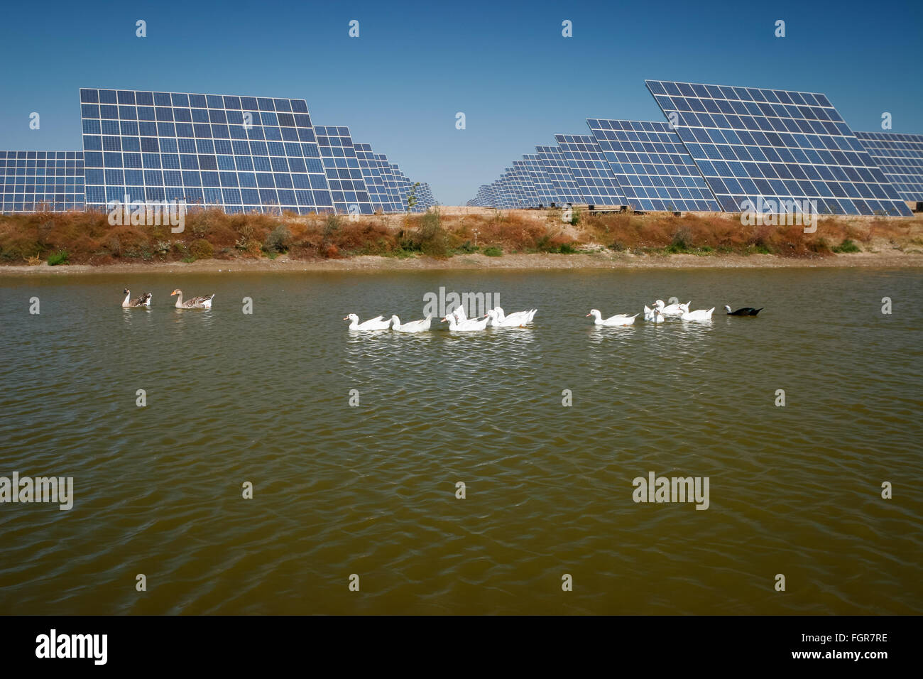 Modern sun energy farm solar panels, for eco and nature renewable ...