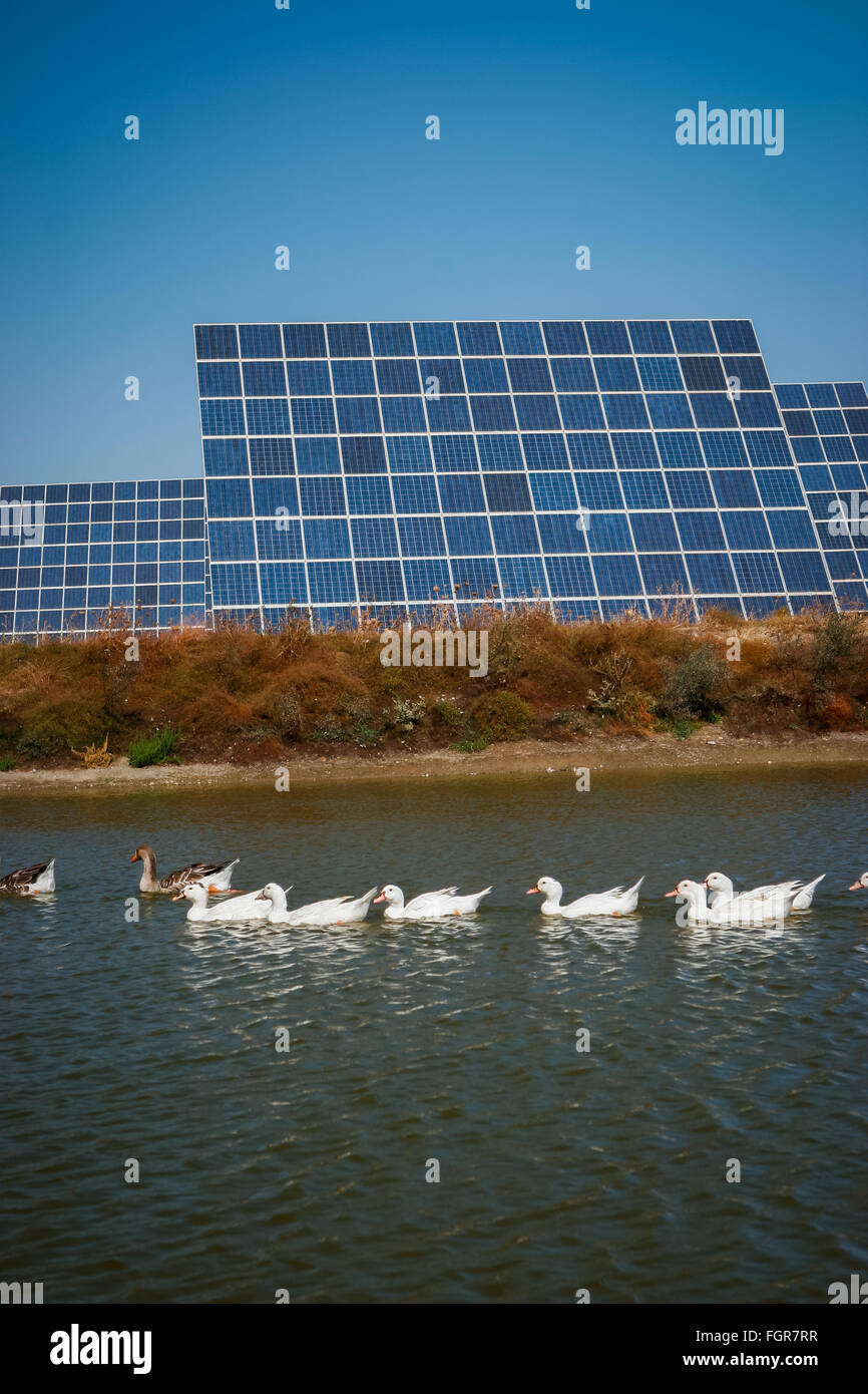 Modern sun energy farm solar panels, for eco and nature renewable ...