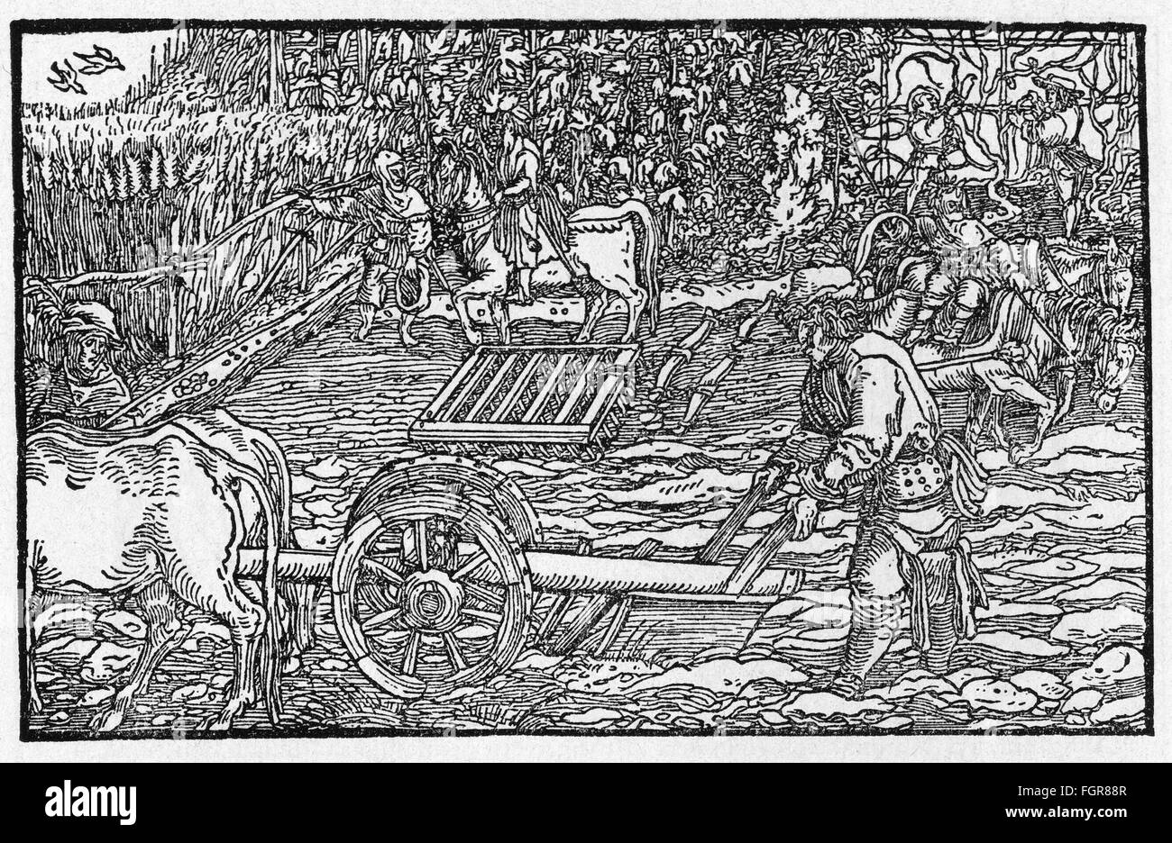 Agricultural labourers 19th century hi-res stock photography and images ...
