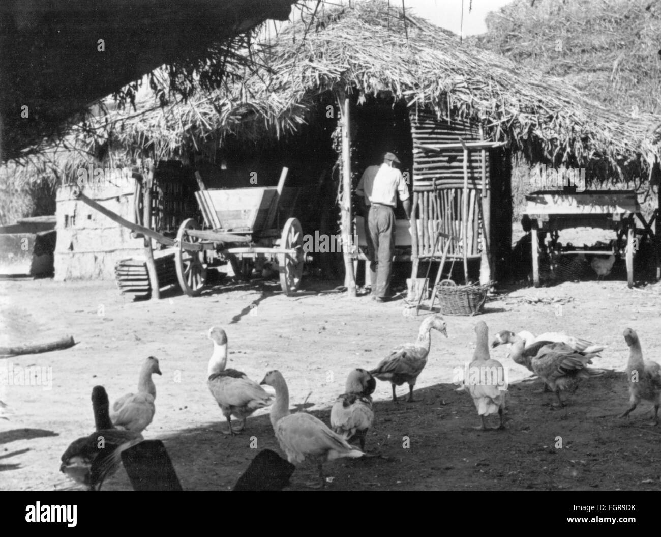 Farm 1950s hi-res stock photography and images - Alamy