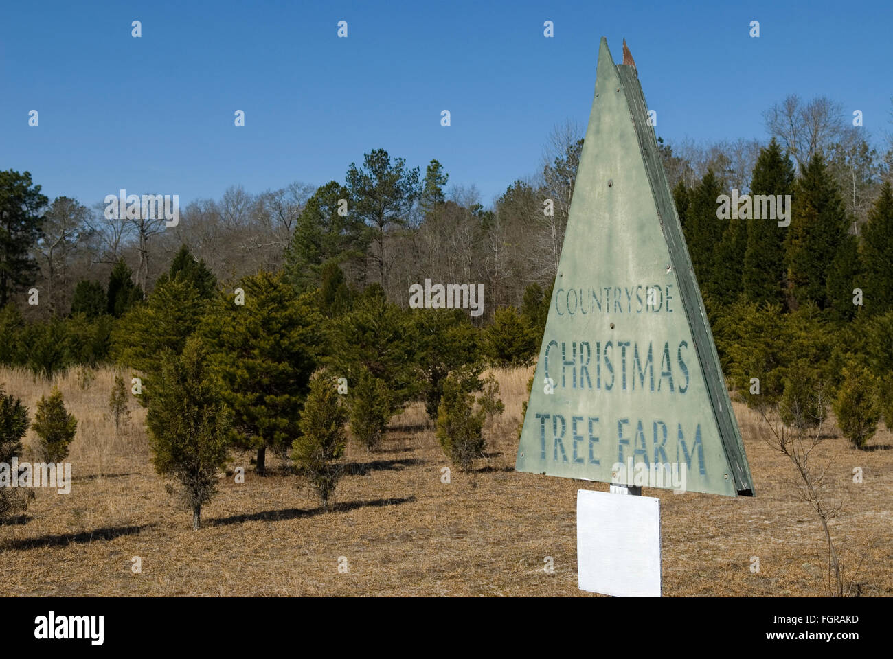 Sign shaped like christmas tree hi-res stock photography and images - Alamy