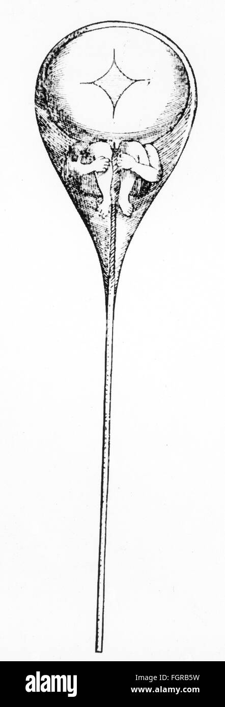 medicine, anatomy, sperm cells, fantastic picture of a human sperm cell ...