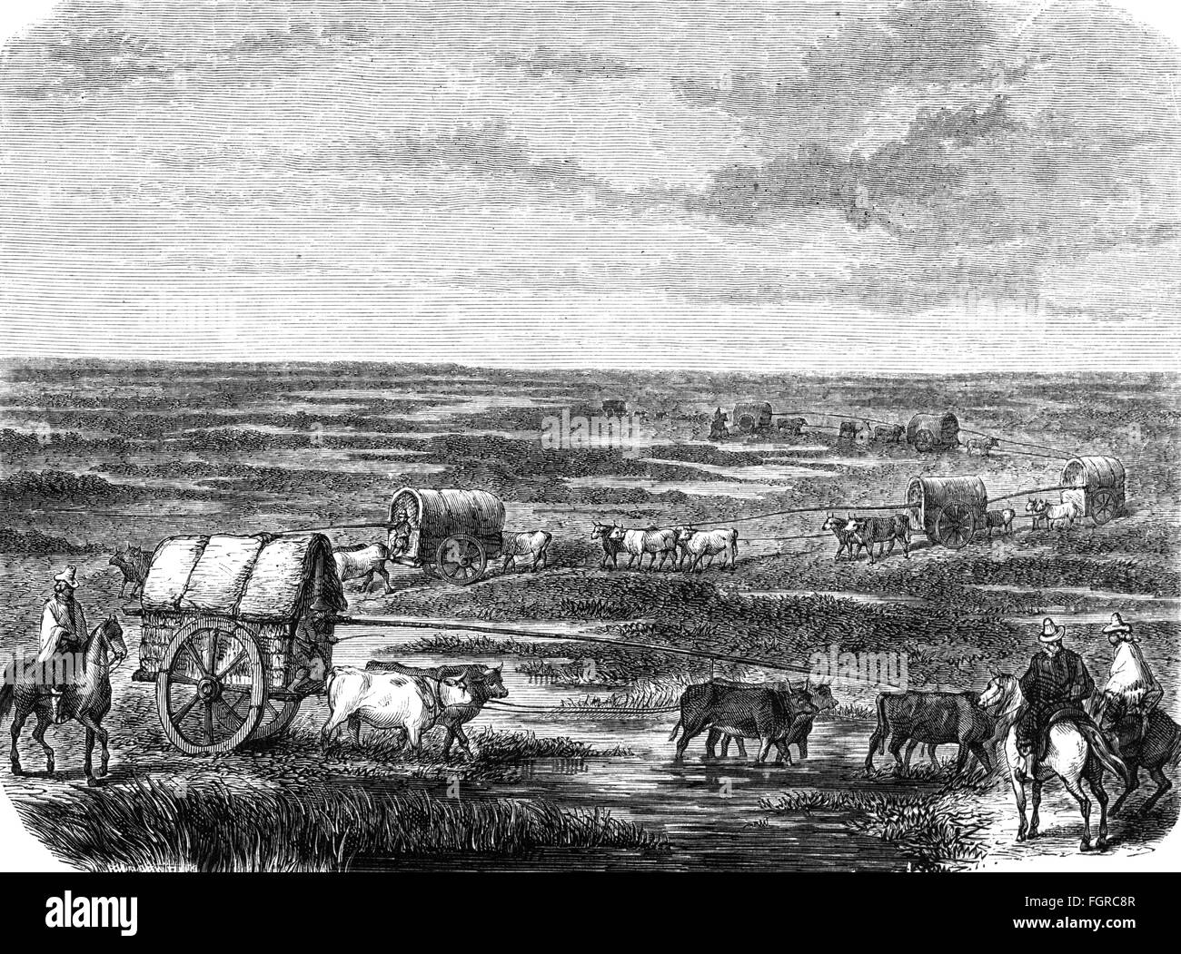 Covered ox carts High Resolution Stock Photography and Images - Alamy