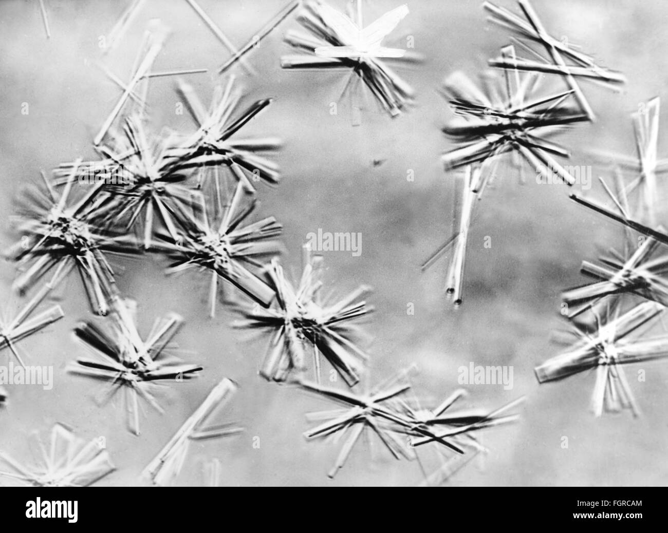 Cardiac glycoside digitoxin Black and White Stock Photos & Images - Alamy