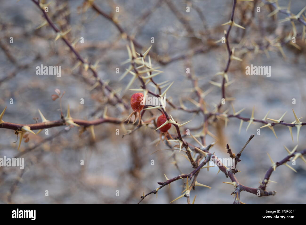 Random shots hi-res stock photography and images - Alamy