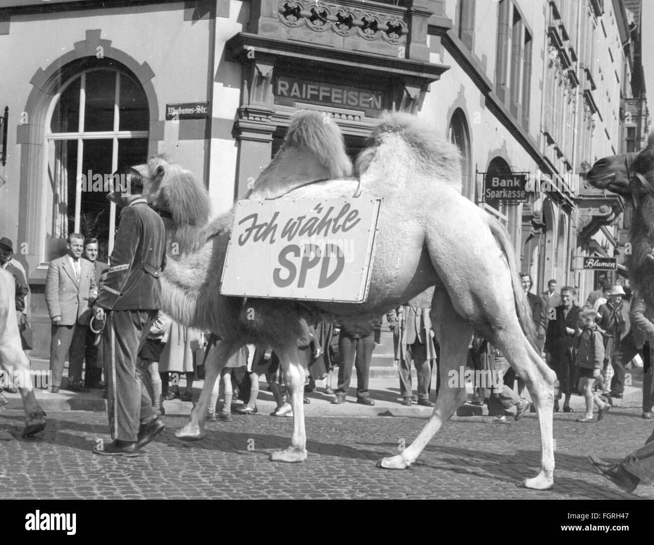 Camel advertising Black and White Stock Photos & Images - Alamy