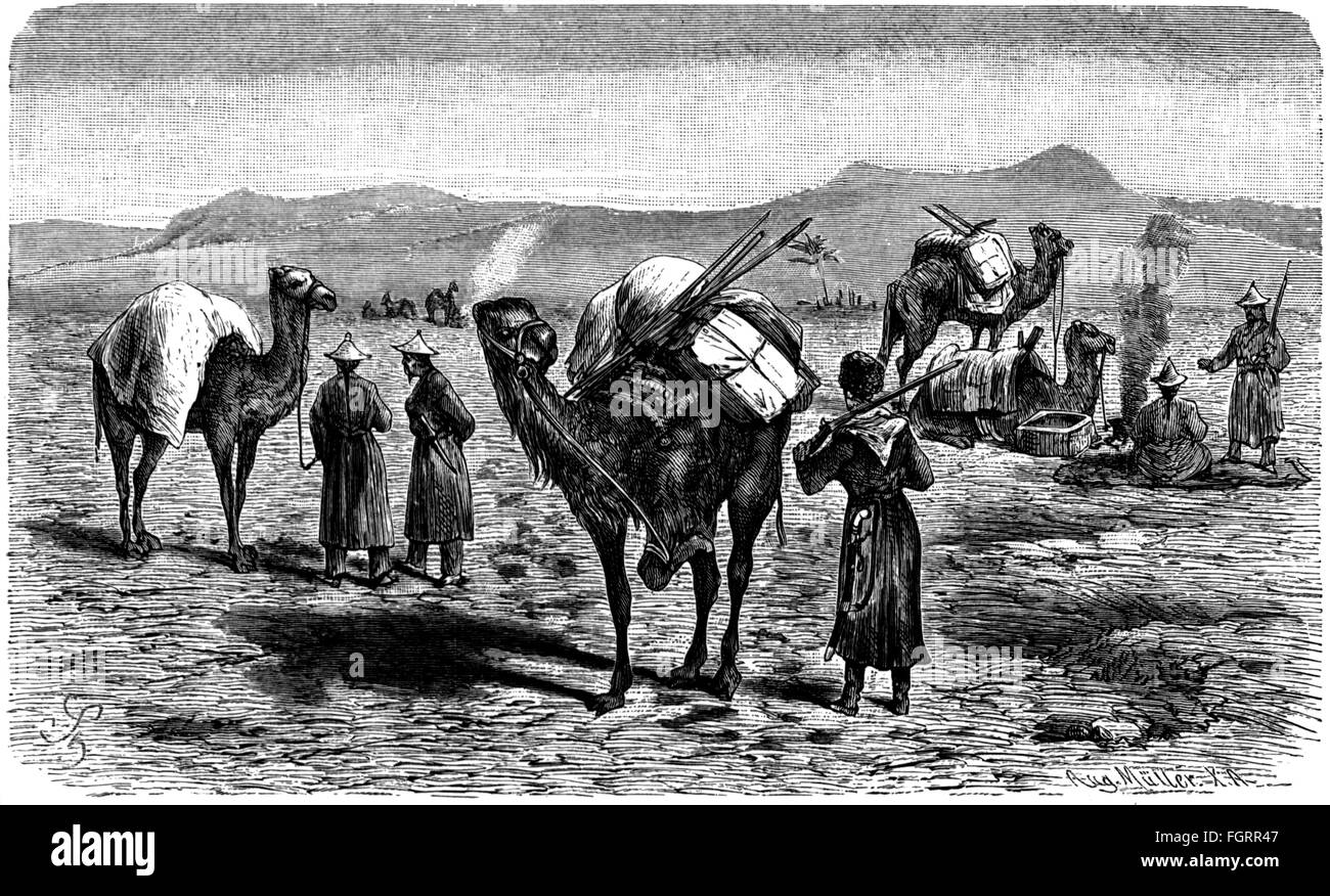 Camels carry load desert hi-res stock photography and images - Alamy