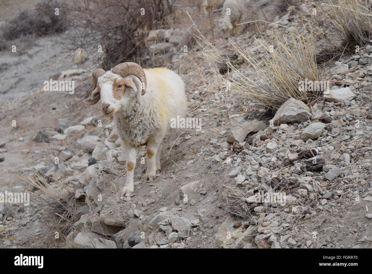 Big farm on mountain hi-res stock photography and images - Alamy