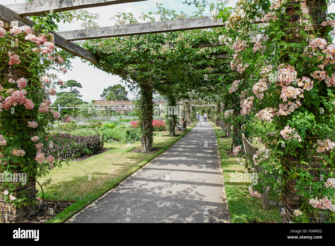 Rose arbour hi-res stock photography and images - Alamy