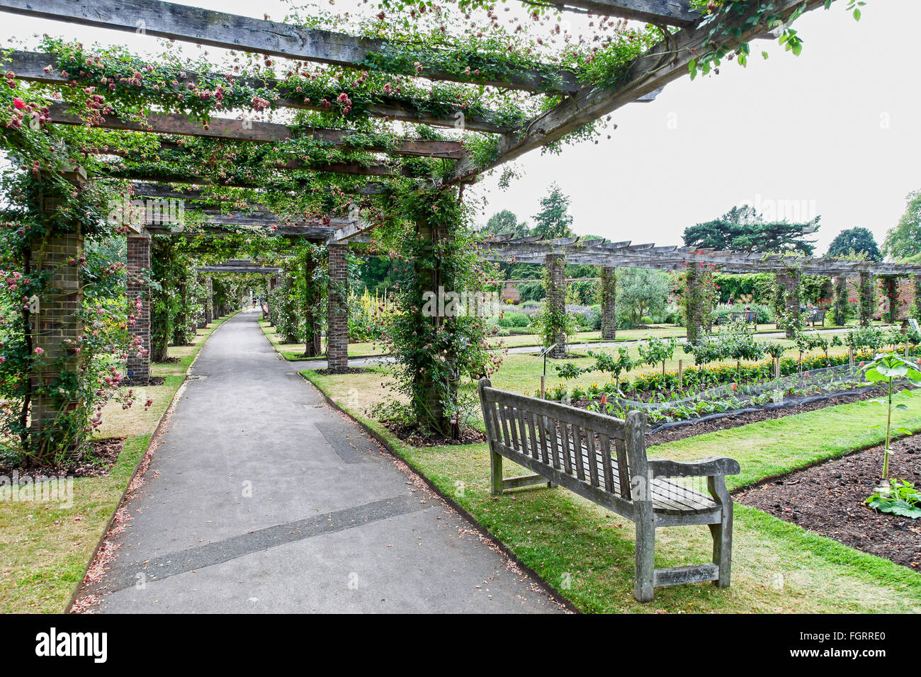 Rose arbour hi-res stock photography and images - Alamy