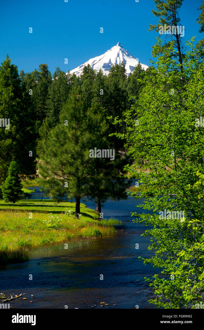 Mount jefferson headwaters metolius river hi-res stock photography and ...