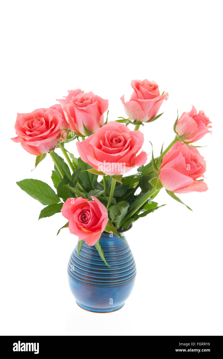 Bouquet pink roses in blue bucket isolated over white background Stock ...