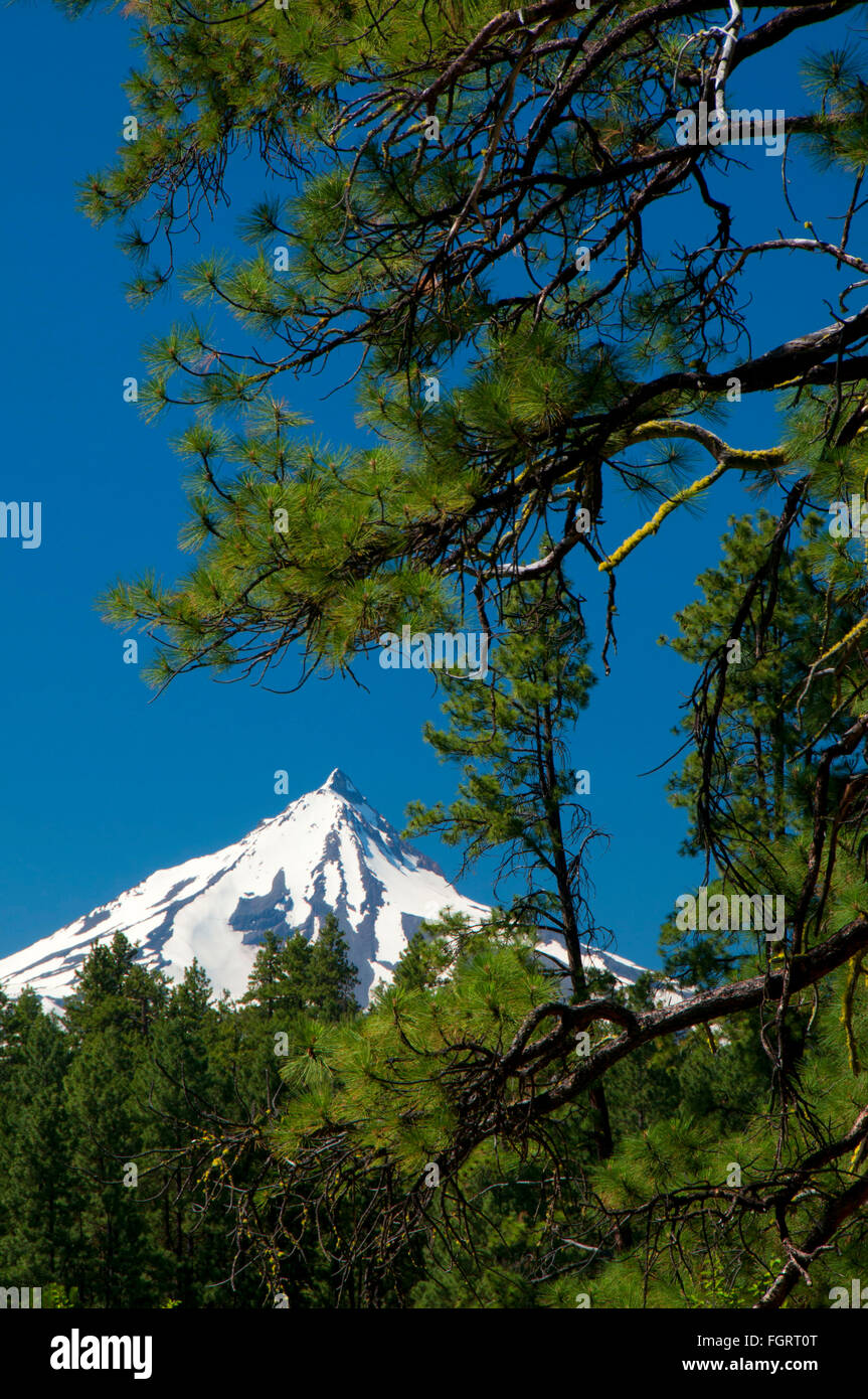 Mount jefferson headwaters metolius river hi-res stock photography and ...