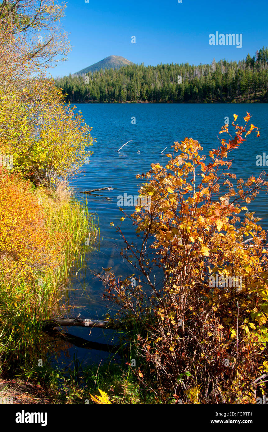 Suttle Lake, Deschutes National Forest, Oregon Stock Photo - Alamy