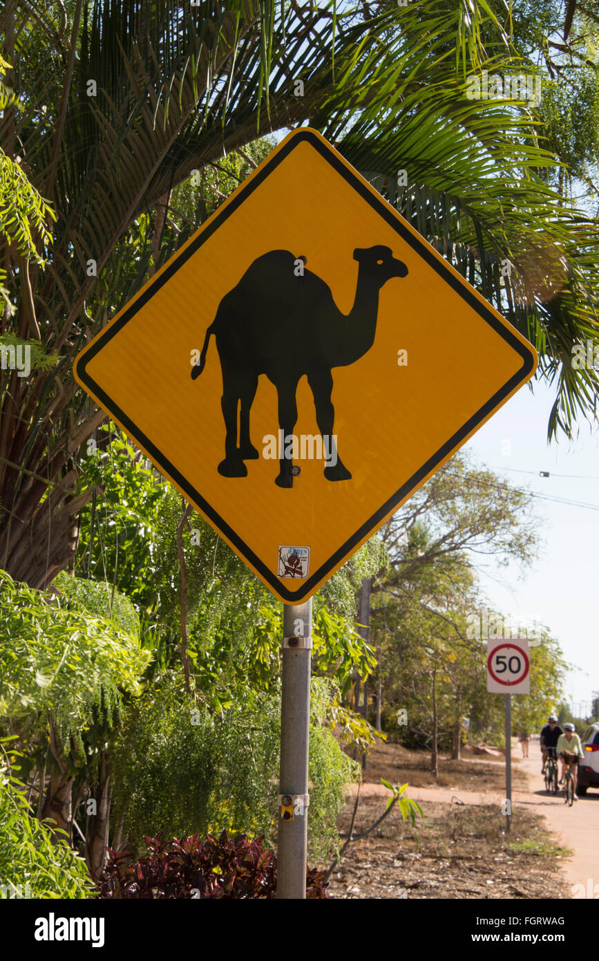 Camel Road Sign High Resolution Stock Photography and Images - Alamy