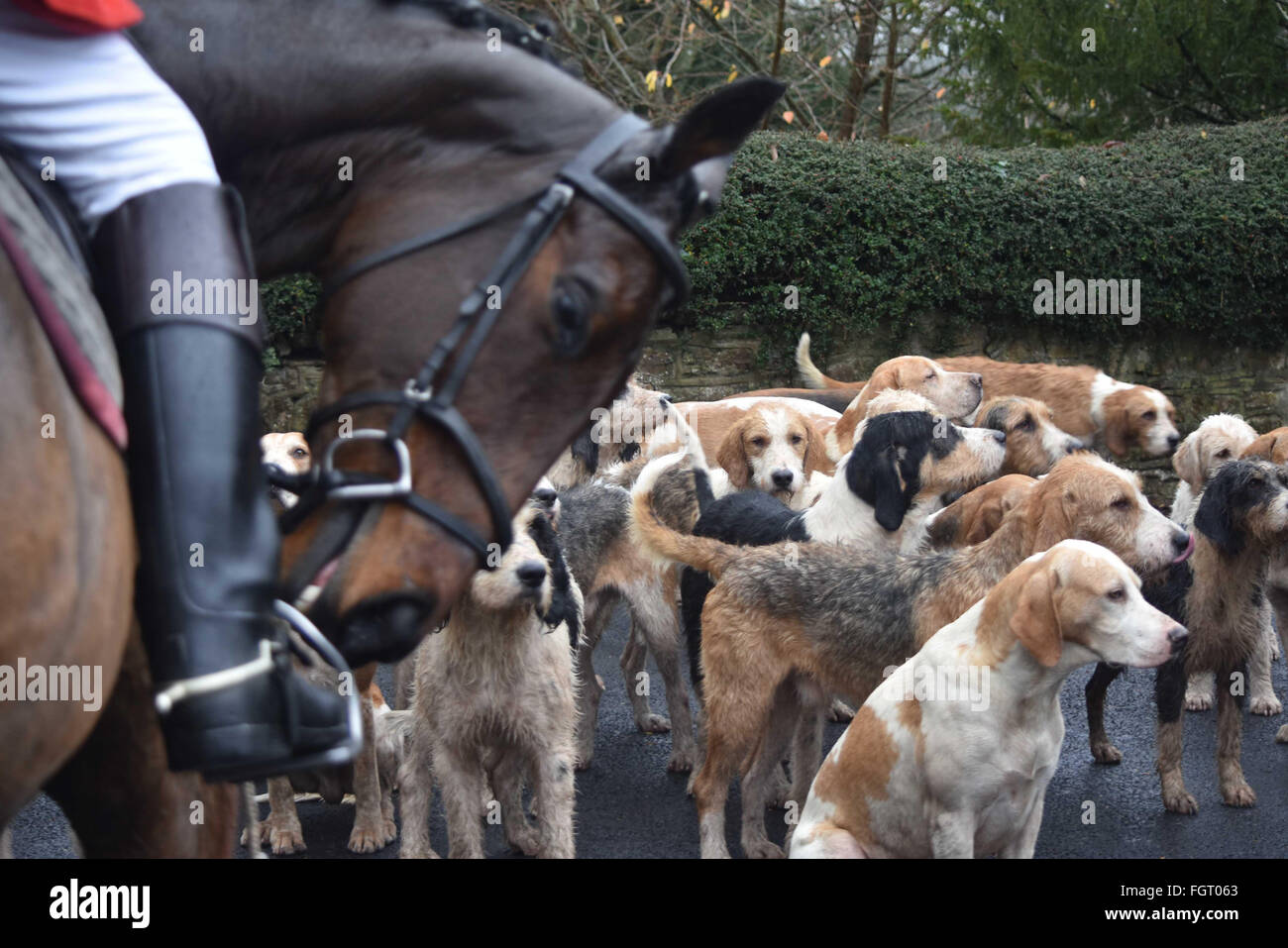 Curre and llangibby hunt hi-res stock photography and images - Alamy
