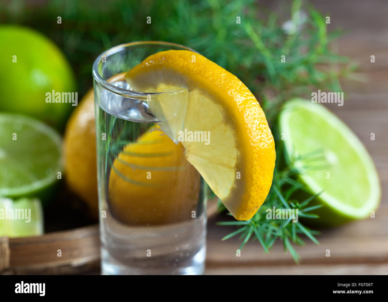 Gin with lemon , lime and juniper branch Stock Photo - Alamy