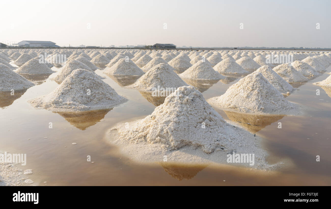 Salt fields in thailand Stock Photo - Alamy