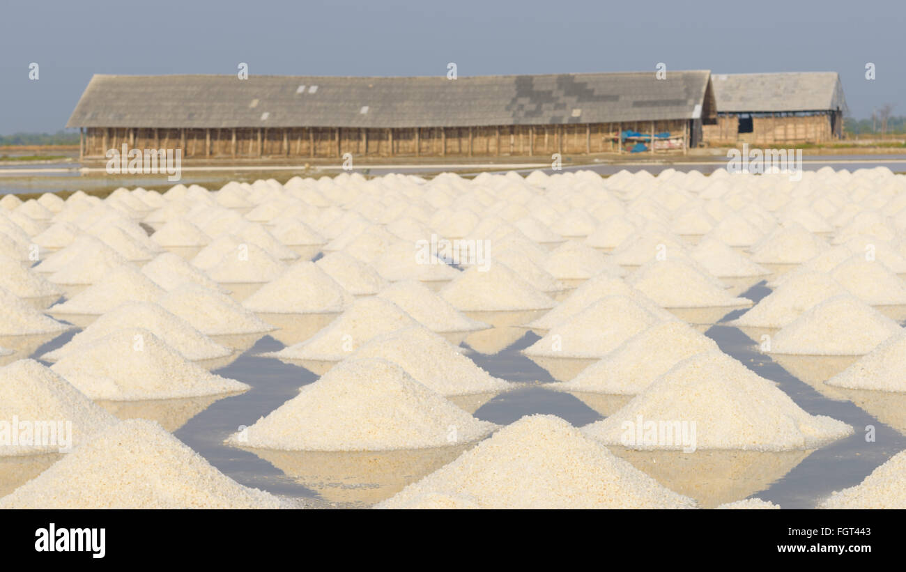 Salt fields in thailand Stock Photo - Alamy