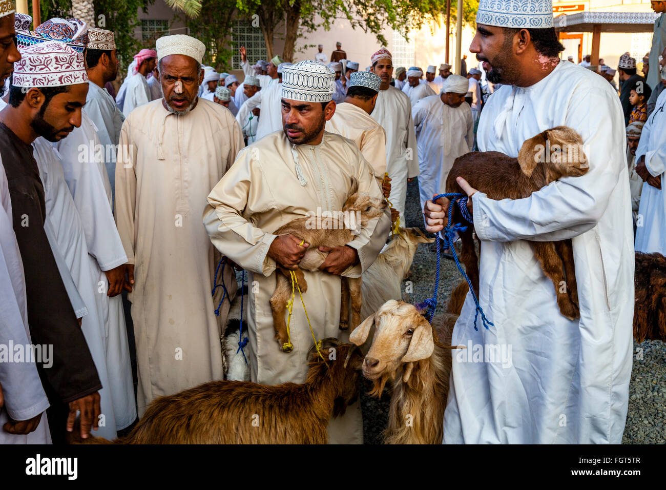 Local Men Selling Goats At The Friday Livestock Market, Nizwa, Ad ...