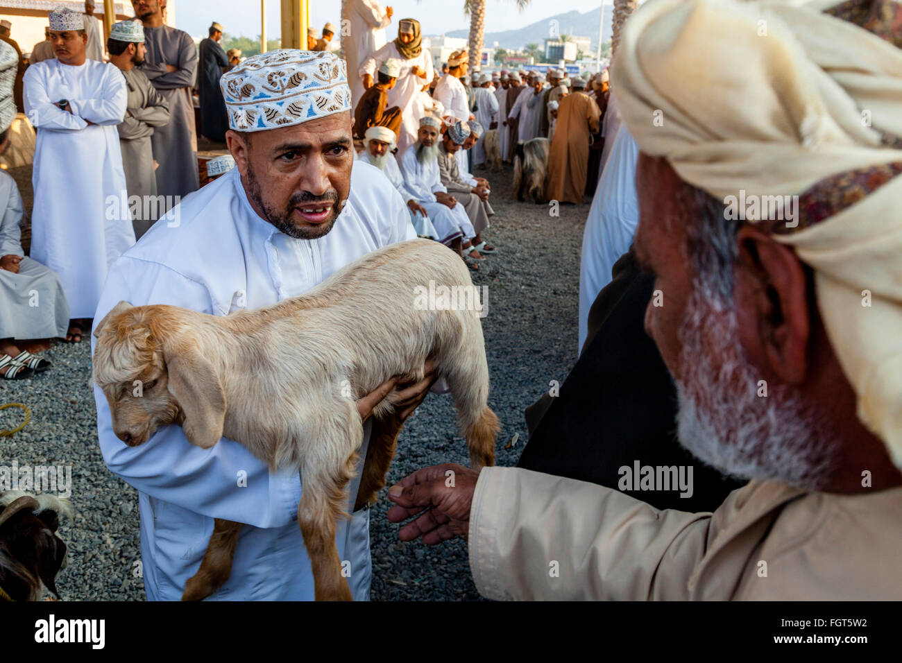 Selling goats hi-res stock photography and images - Alamy