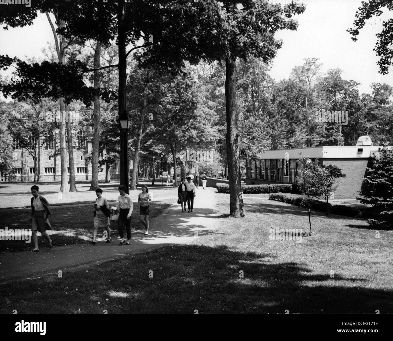 pedagogy, university, campus of a college in the USA, 1960s, Additional ...