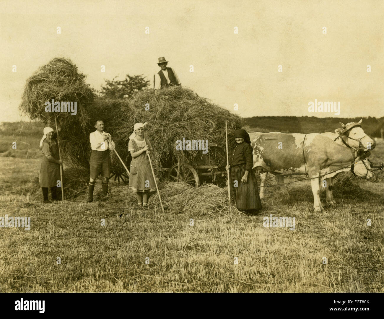 Hay cart hi-res stock photography and images - Alamy