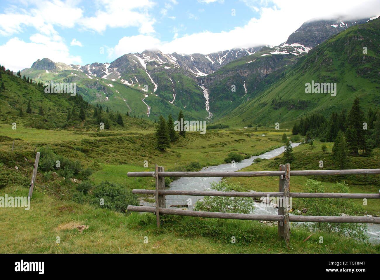 Thriving summer nature hi-res stock photography and images - Alamy