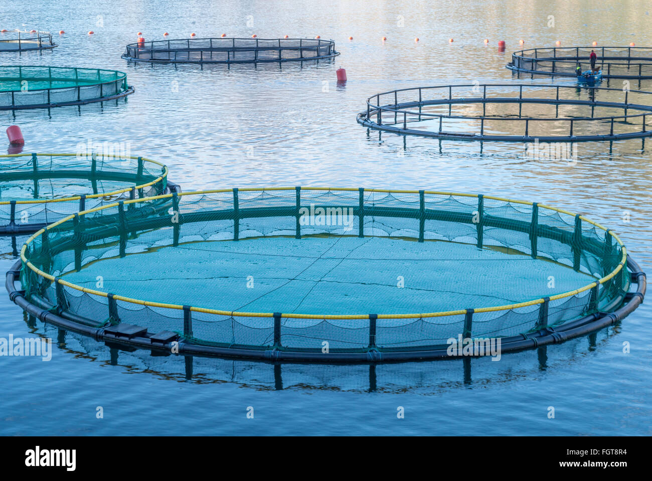 Fish cages hi-res stock photography and images - Alamy