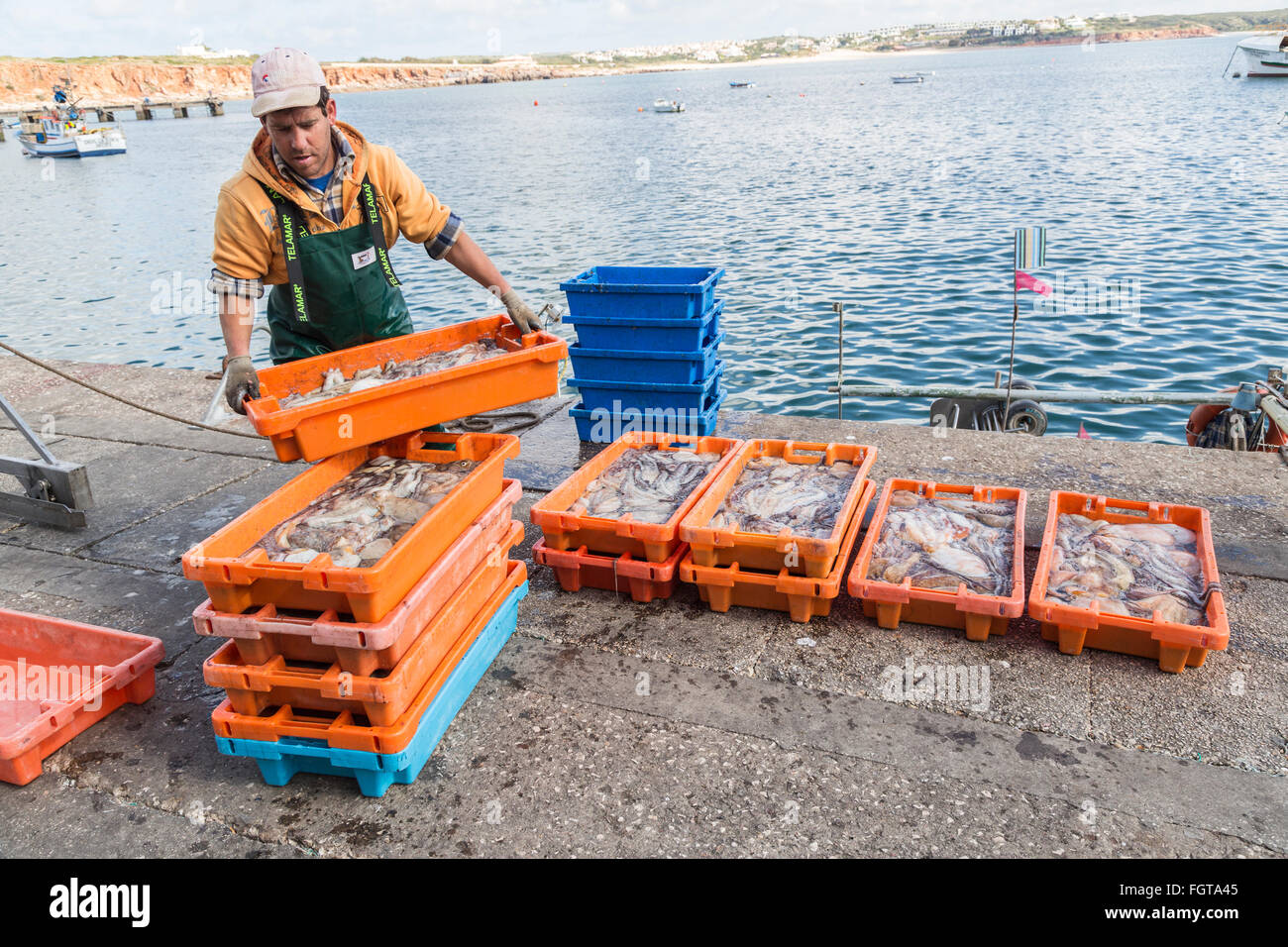Catch octopus hi-res stock photography and images - Alamy