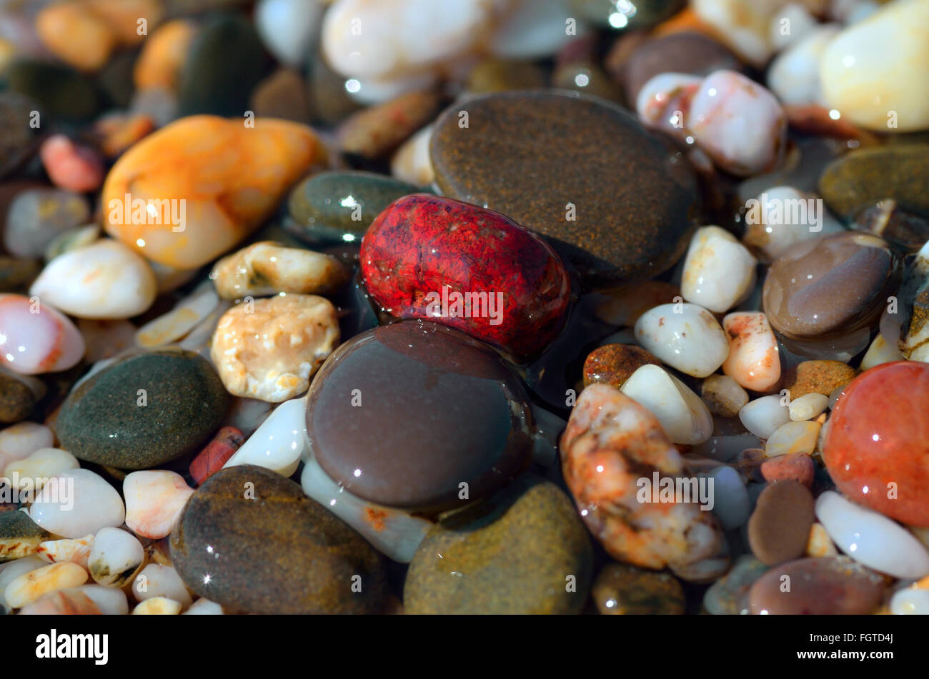 Wet sea pebbles on the seashore Stock Photo - Alamy