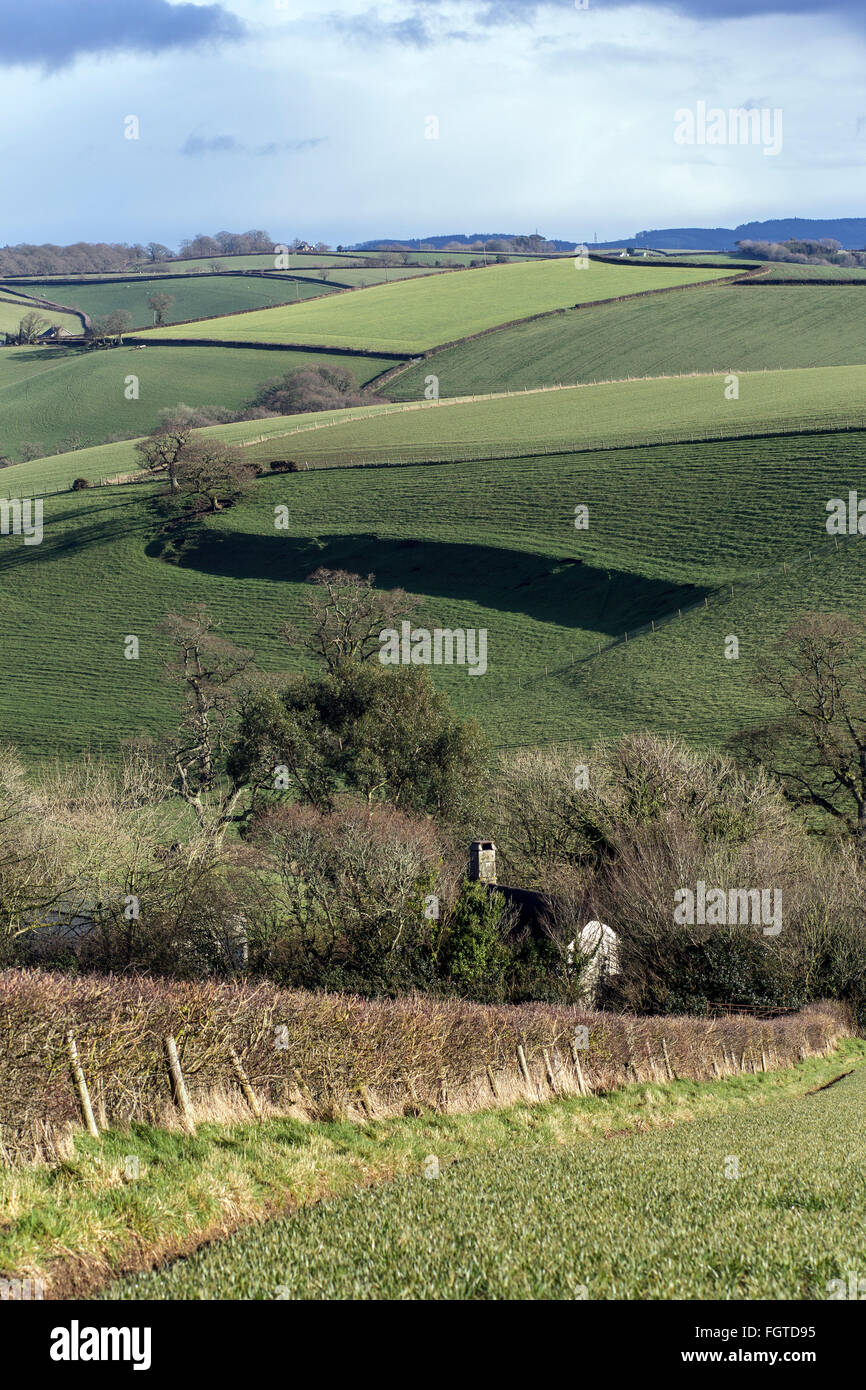 Devon cottage in rural landscape near crockernwell hi-res stock ...