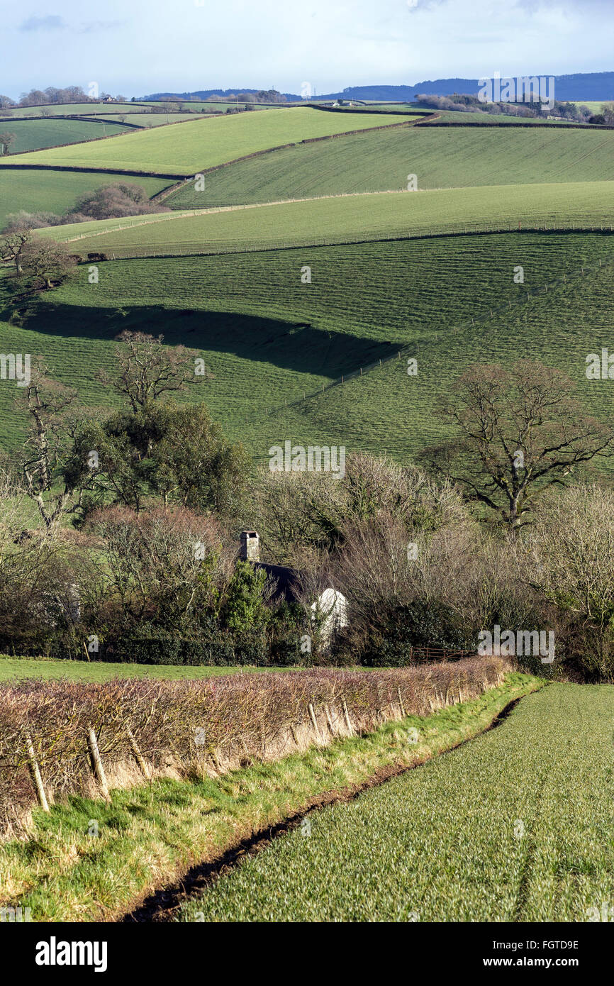 UK, Village, Country Road, House, Cottage, England, Stone - Material ...