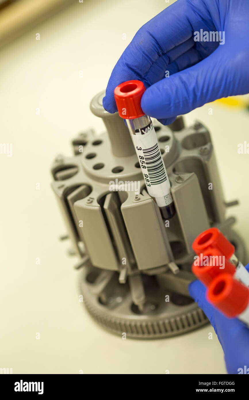 Analysis of samples in the Bio Chemistry section of a pathology ...