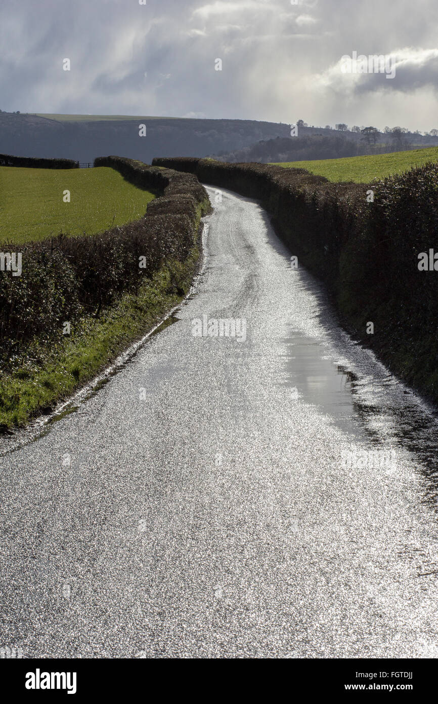 Devon lane in rural landscape near Crockernwell,Cheriton Bishop ...